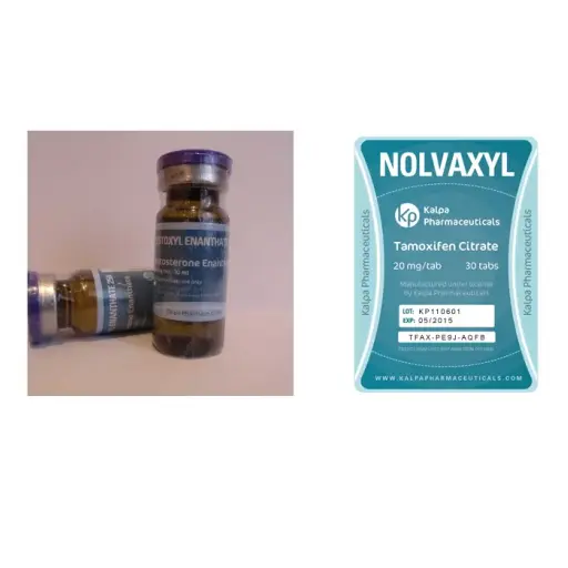 Test E Cycle for Beginners - Bulking Test E Steroid Cycle for Sale